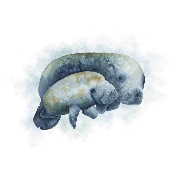 Manatee Watercolor Print | Mom and Baby Animal Nursery Art - Tiny Toes ...