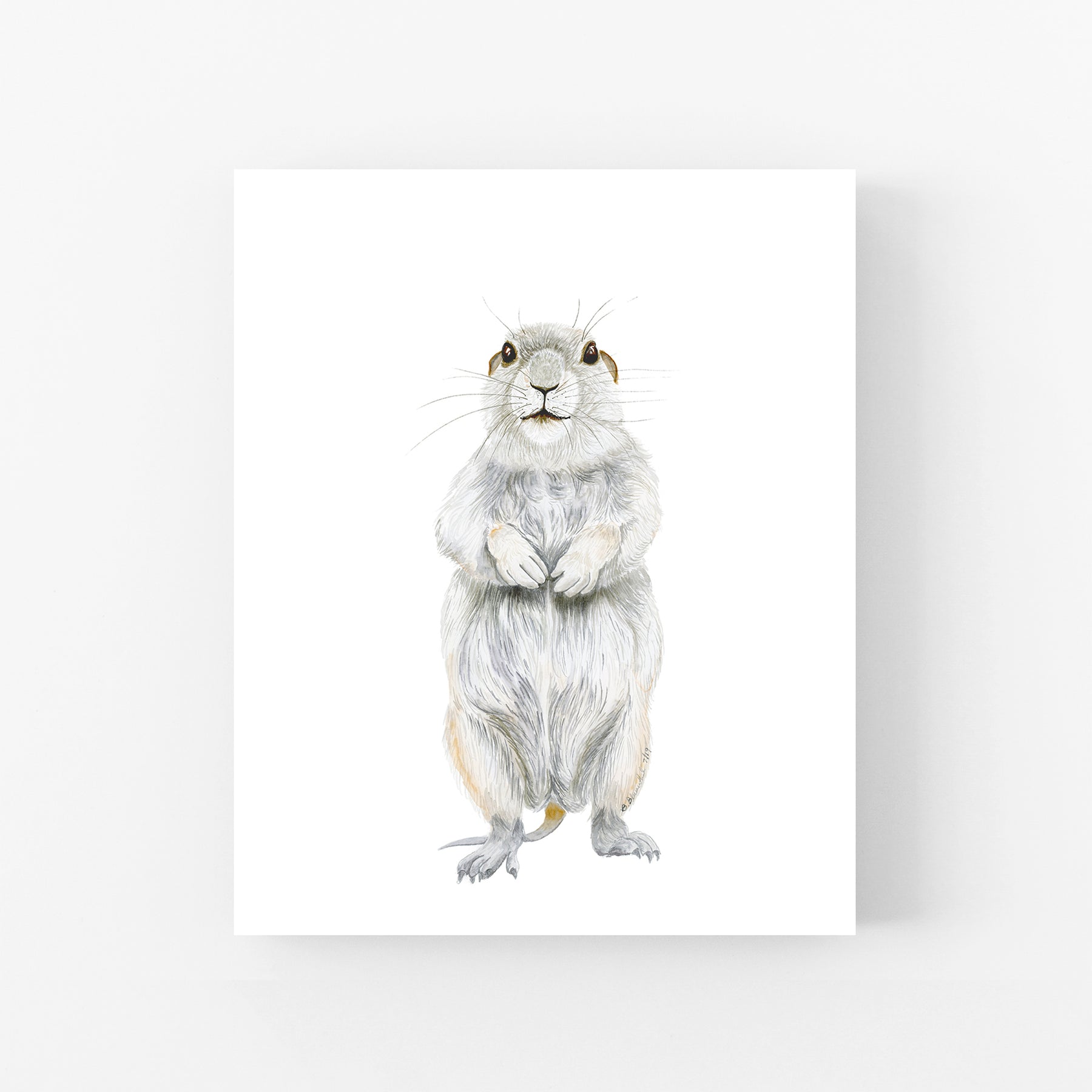Baby Prairie Dog Print | Southwest Animal Nursery Art – Tiny Toes Design