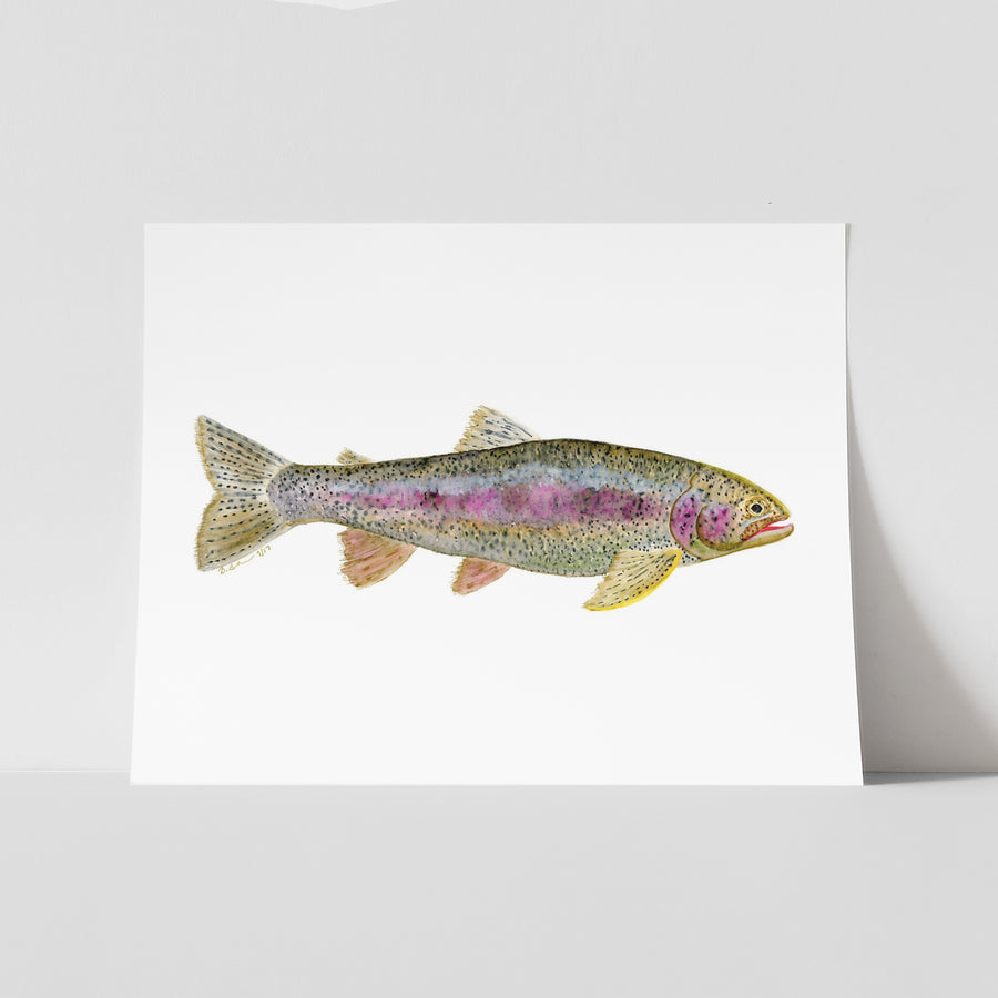 Rainbow Trout | Freshwater Fish Wall Art Print – Tiny Toes Design