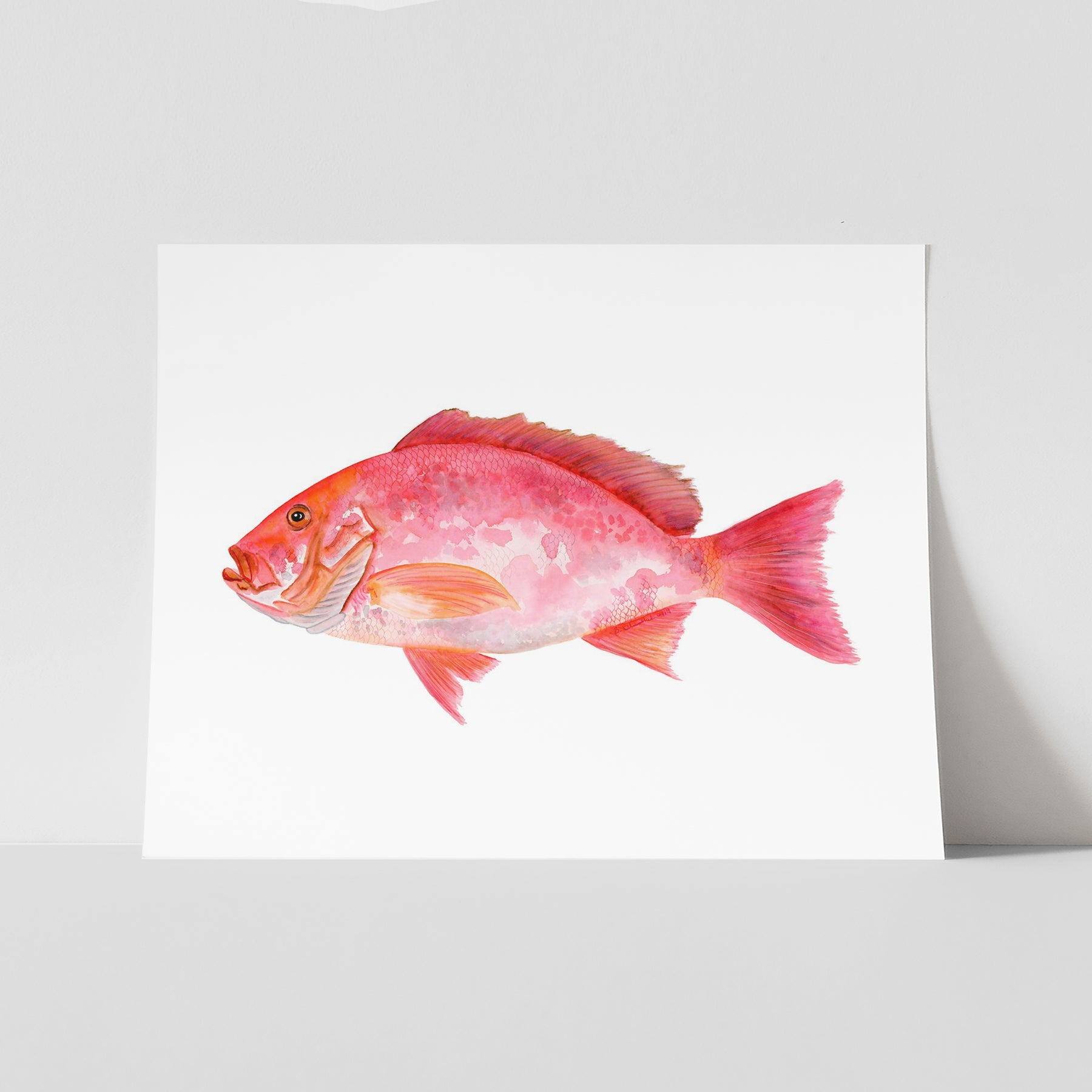 Red Snapper Watercolor Print | Tropical Fish Art – Tiny Toes Design