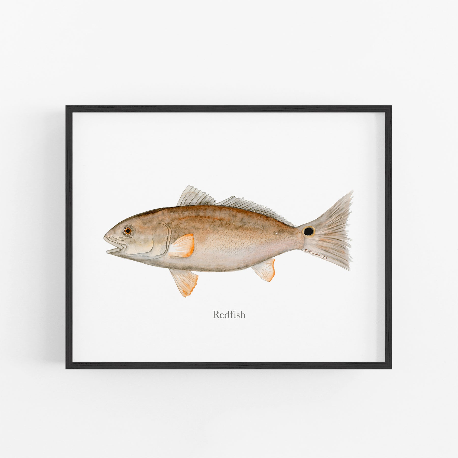 Redfish Watercolor | Deep Sea Fishing Art Print – Tiny Toes Design