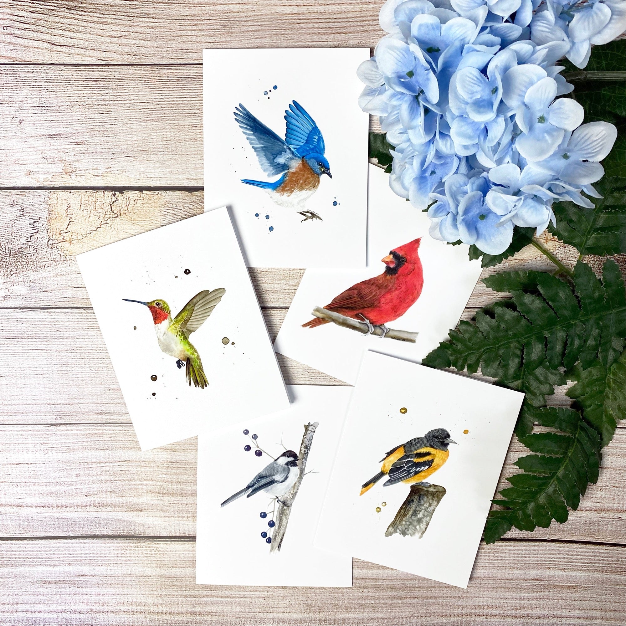 Assorted Bird Watercolor Notecard Set | Bird Stationery – Tiny Toes Design