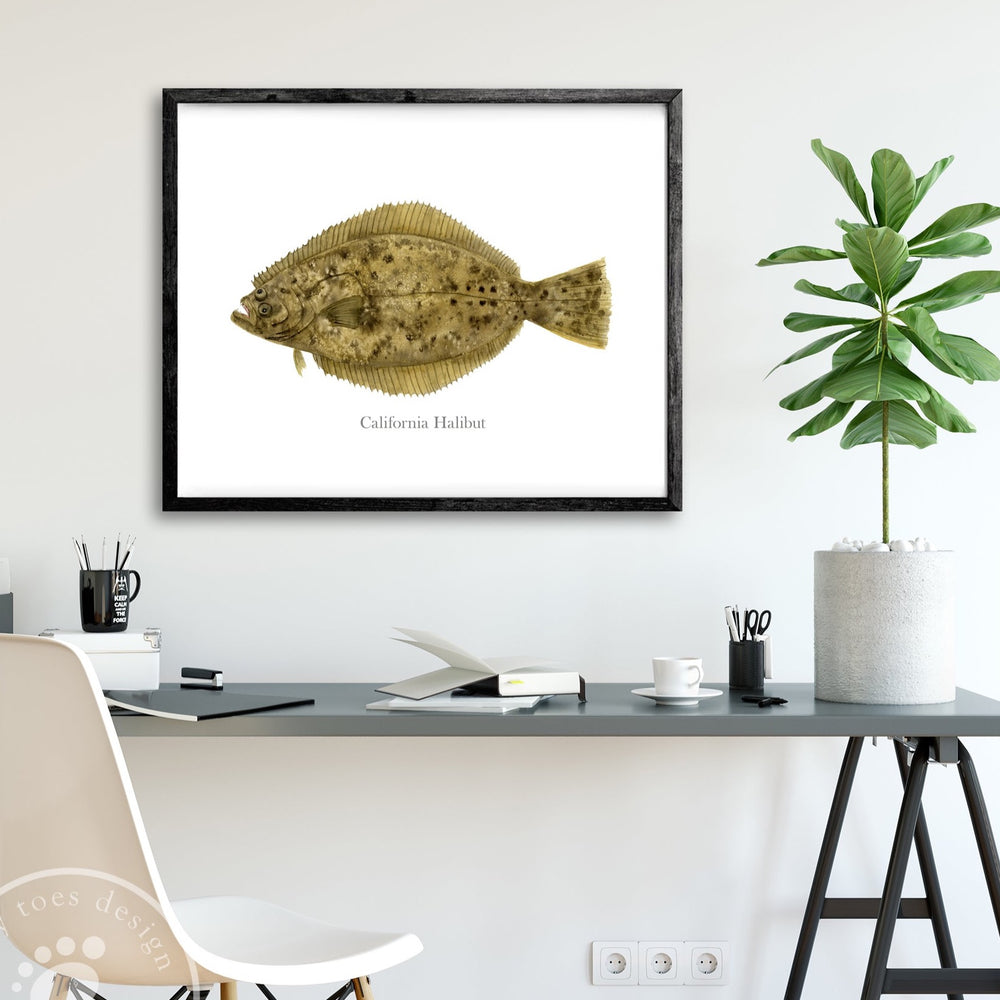California Halibut Watercolor Fish Mount | Brett Blumenthal | Tiny Toes ...