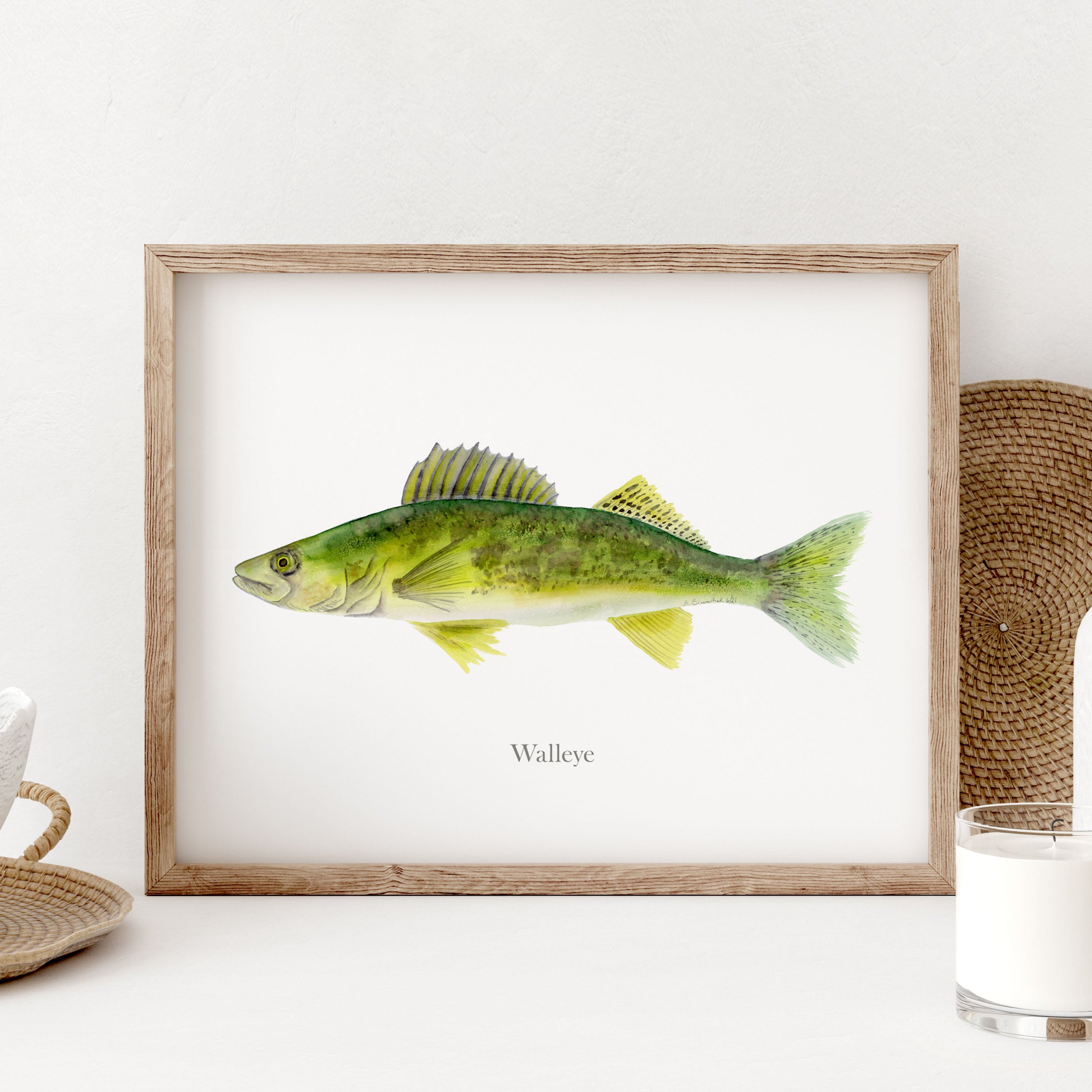 Walleye Fish Art Print | Fishing Watercolor Art – Tiny Toes Design