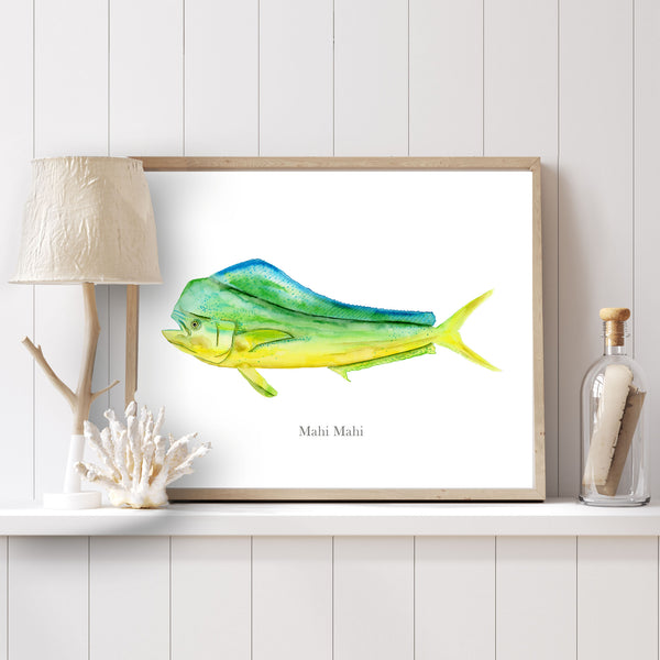Mahi Mahi Watercolor - Fish Art Mount | Brett Blumenthal | Tiny Toes Design