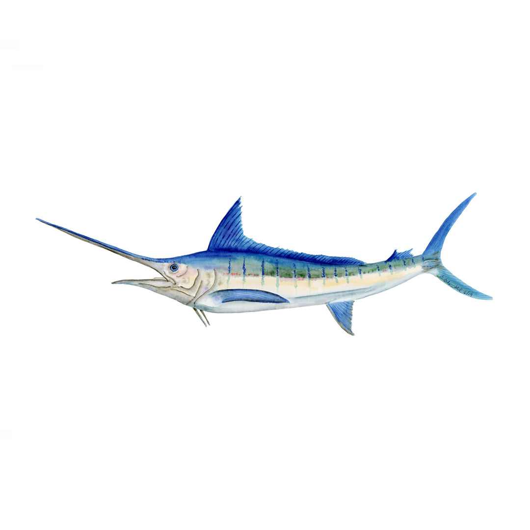 Marlin Watercolor - Fish Mount Art | Brett Blumenthal | Tiny Toes Design