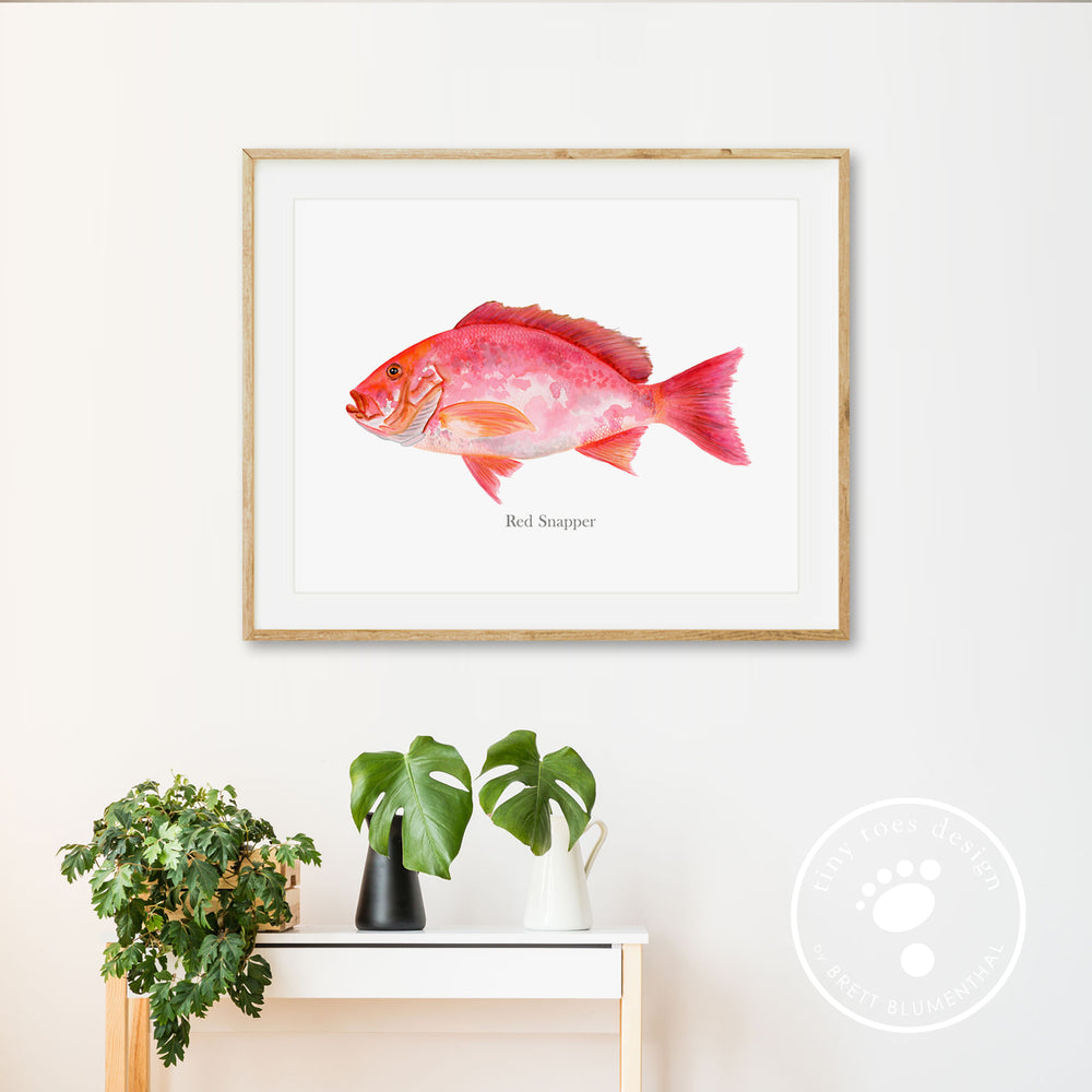 Red Snapper Watercolor - Fish Art Mount | Brett Blumenthal | Tiny Toes ...
