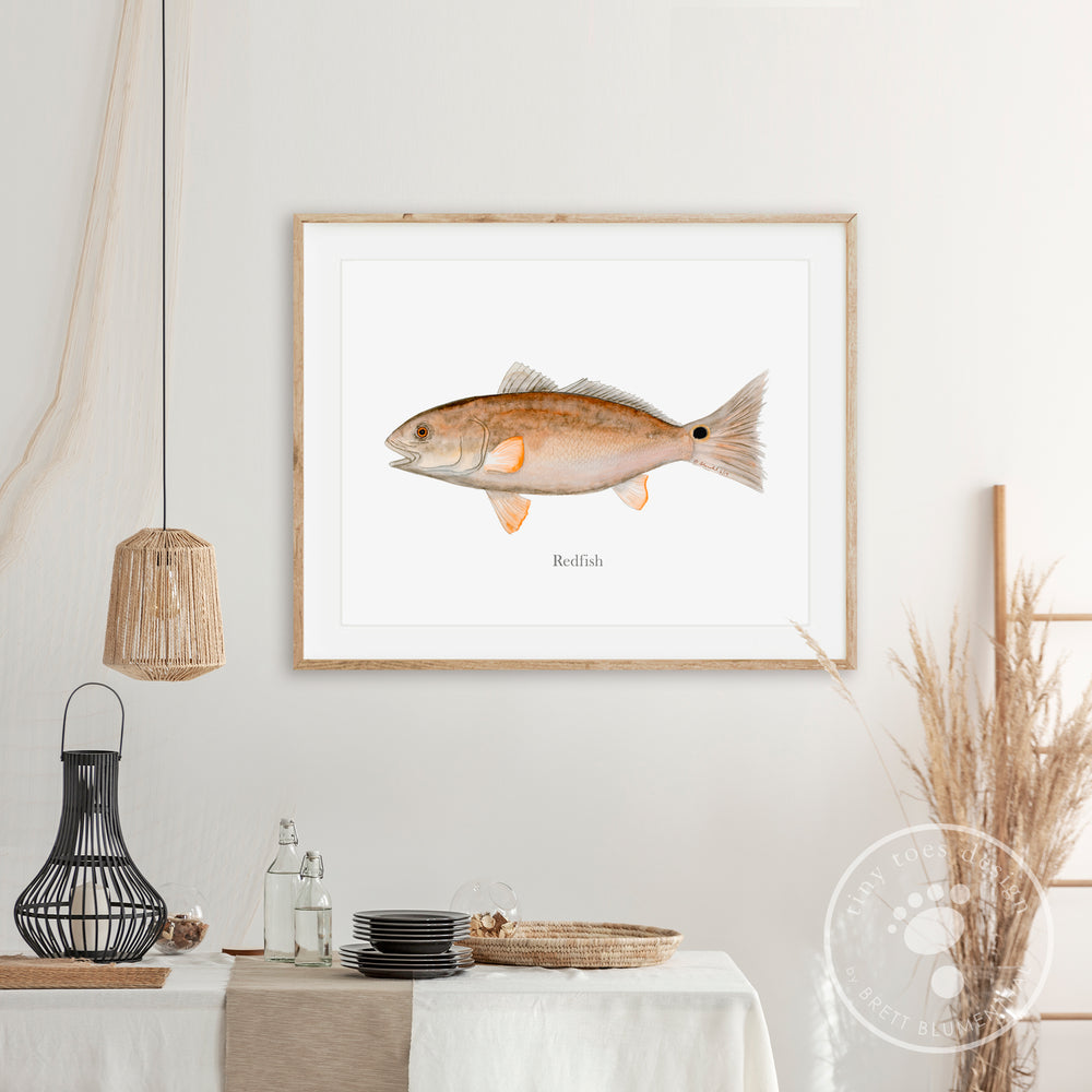 Redfish Watercolor - Fish Mount Print | Brett Blumenthal | Tiny Toes Design