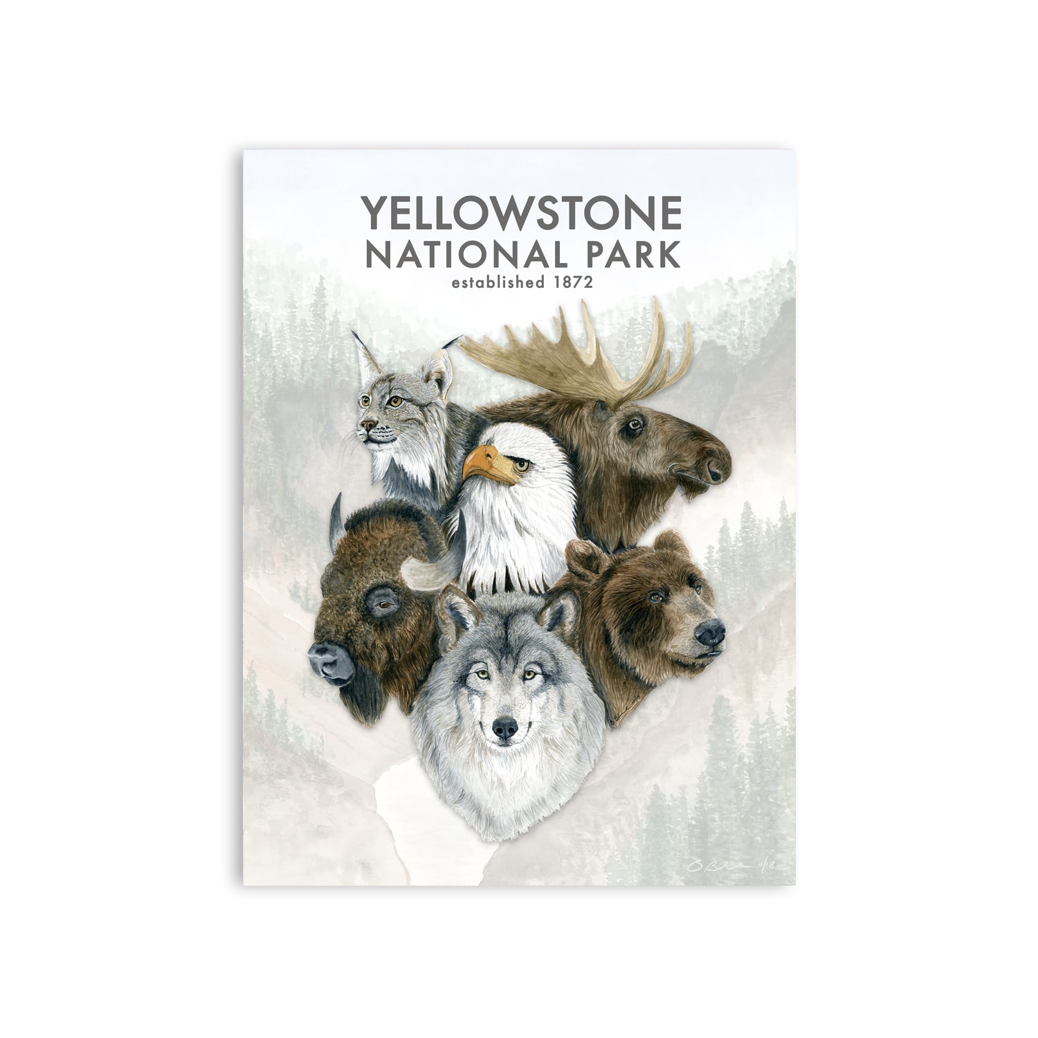 Wildlife of Yellowstone National Park Poster – Tiny Toes Design