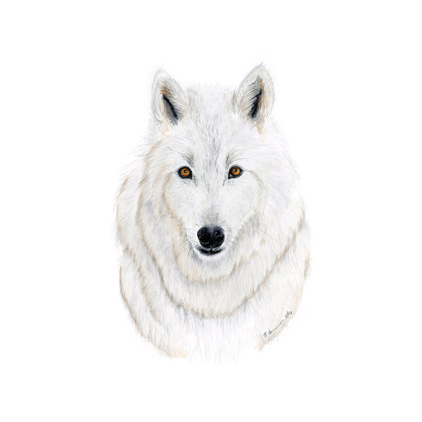 Arctic Wolf Painting | White on White Wall Art - Tiny Toes Design