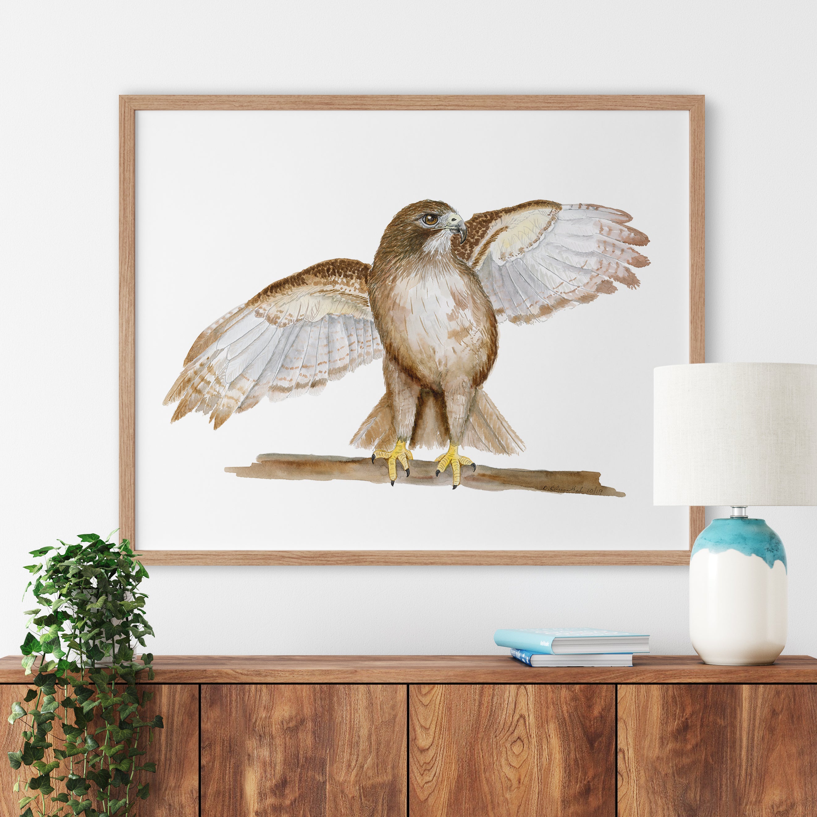 Red-Tailed Hawk Illustration | Bird of Prey Wall Art – Tiny Toes Design