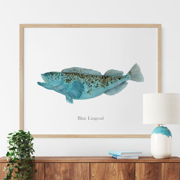 Blue Lingcod Watercolor Fish Mount | Brett Blumenthal | Tiny Toes Design