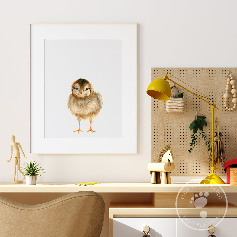 Baby Chick Portrait - Farm Nursery Art | Brett Blumenthal | Tiny Toes ...