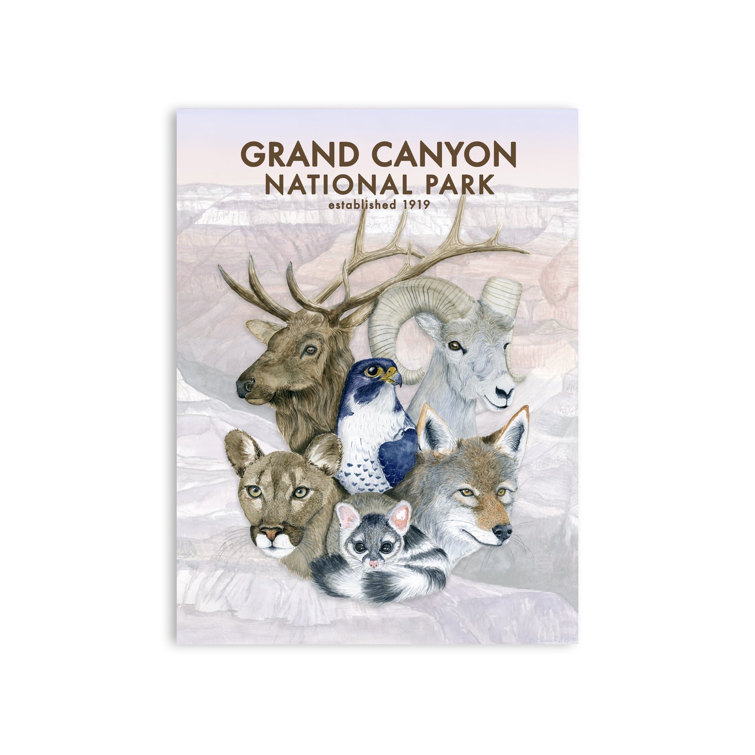 Grand Canyon National Park Wildlife Poster | Brett Blumenthal | Tiny ...
