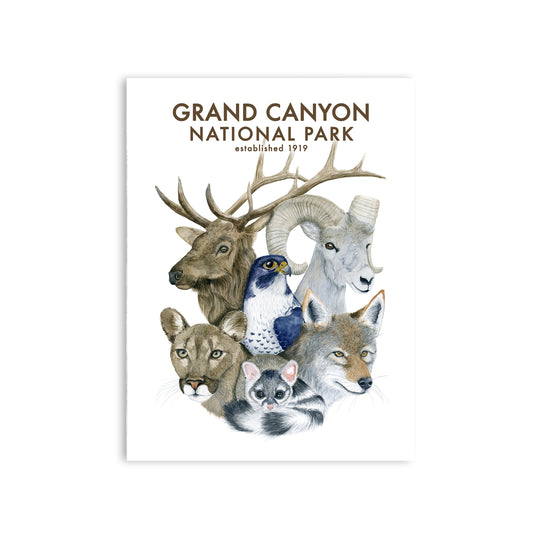 Grand Canyon National Park Wildlife Poster – Tiny Toes Design