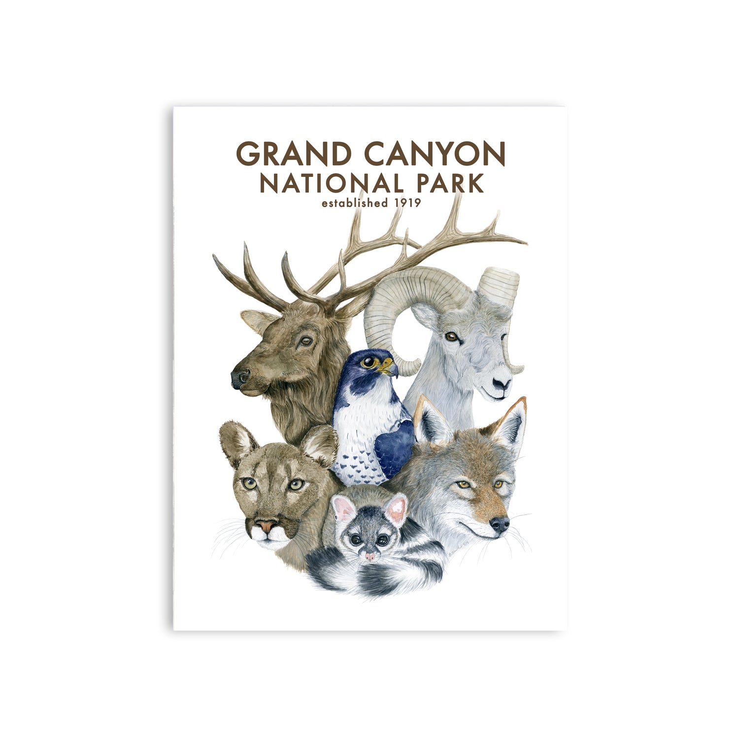 Grand Canyon National Park Wildlife Poster | Brett Blumenthal | Tiny ...
