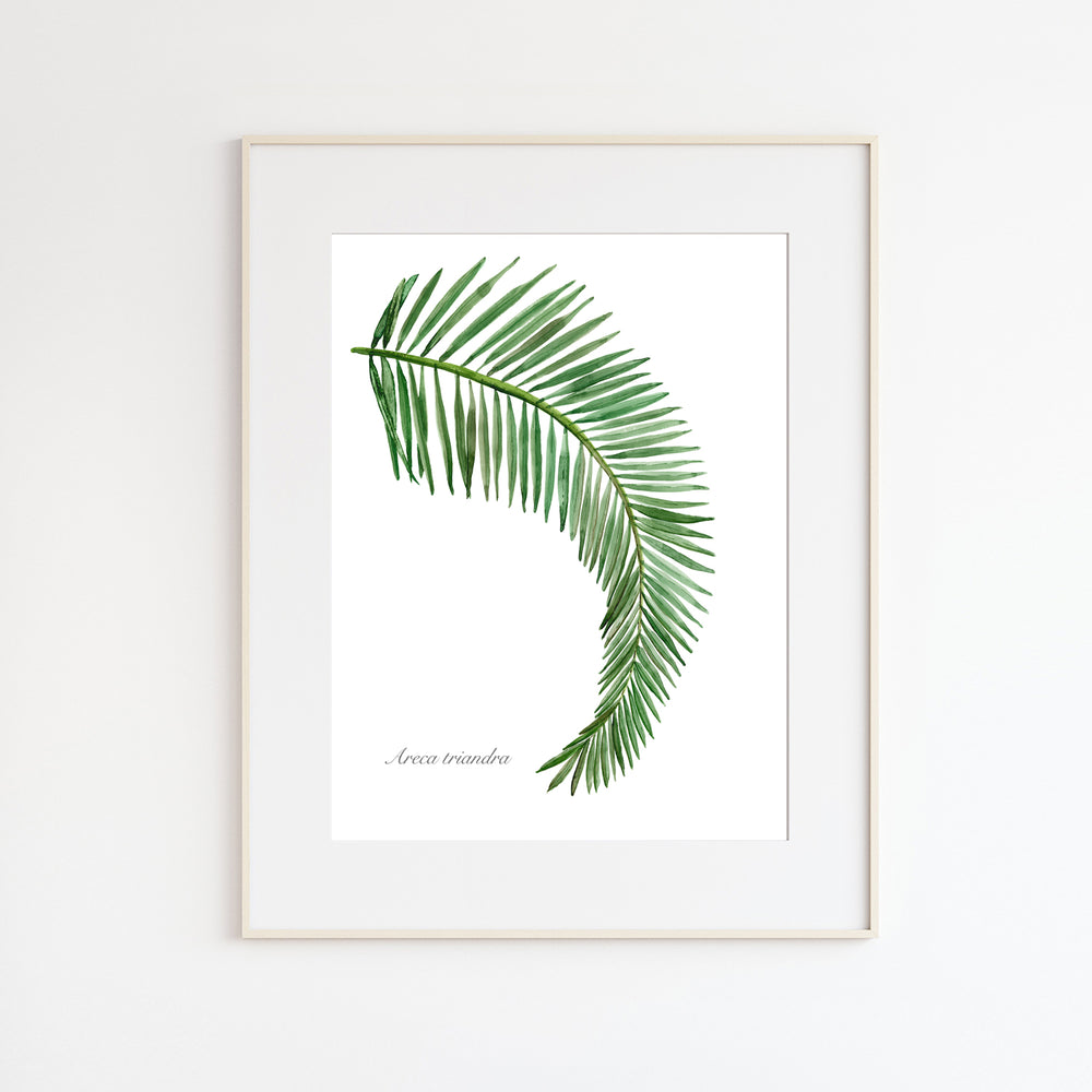 Palm Leaf Art Print | Tropical Botanical Home Decor | Tiny Toes Design
