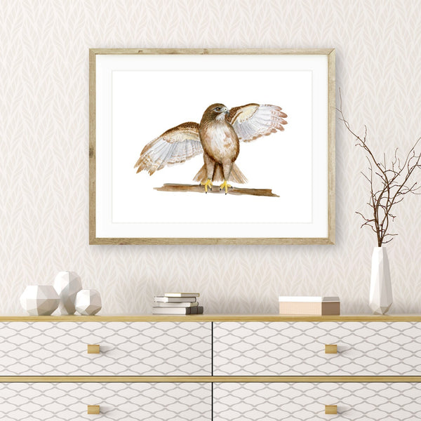 Red-Tailed Hawk Illustration | Bird of Prey Wall Art - Tiny Toes Design
