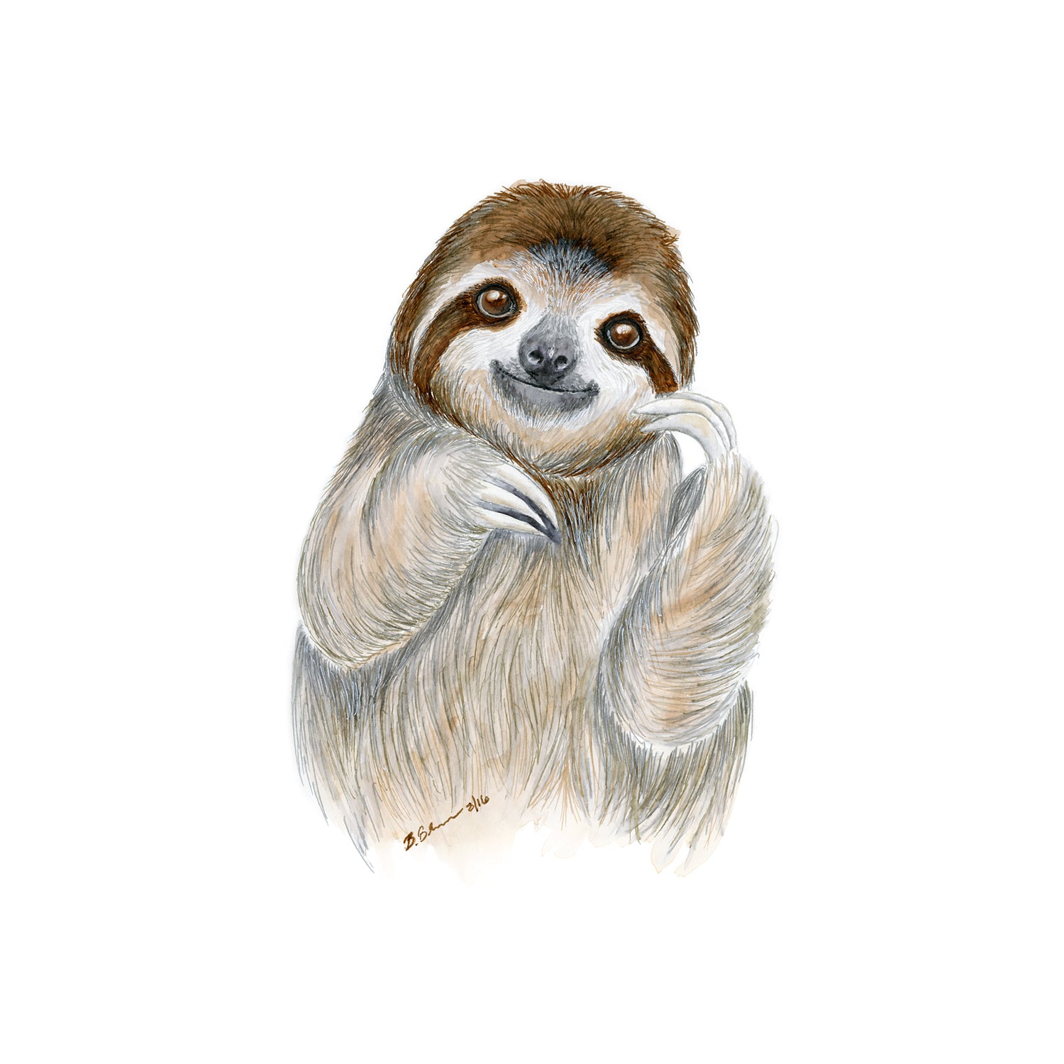 Baby Sloth Drawing