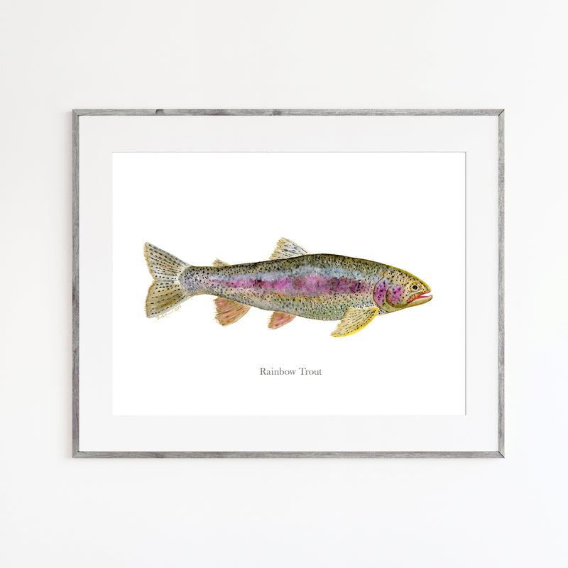 Rainbow Trout | Freshwater Fish Wall Art Print | Tiny Toes Design